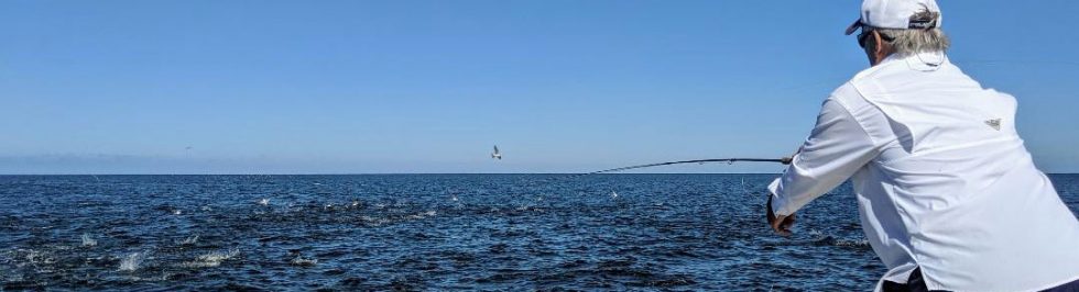 Nearshore Fly Fishing | Crystal River Fly Fishing